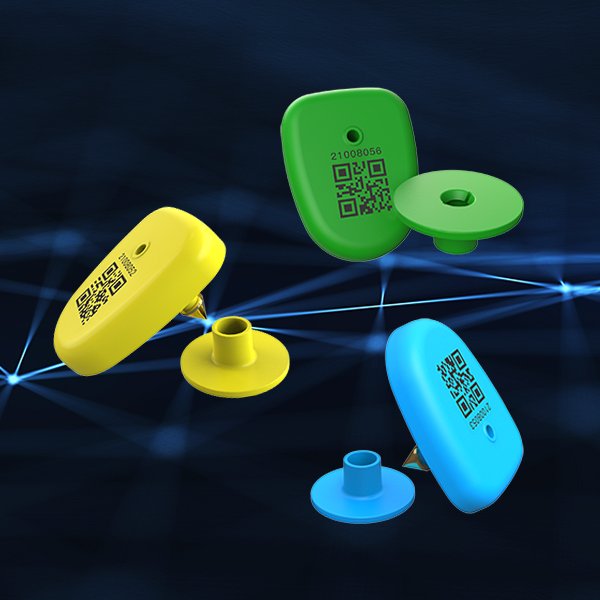 Livestock Identification Ear Tags: Types, Materials, Importance, and ...