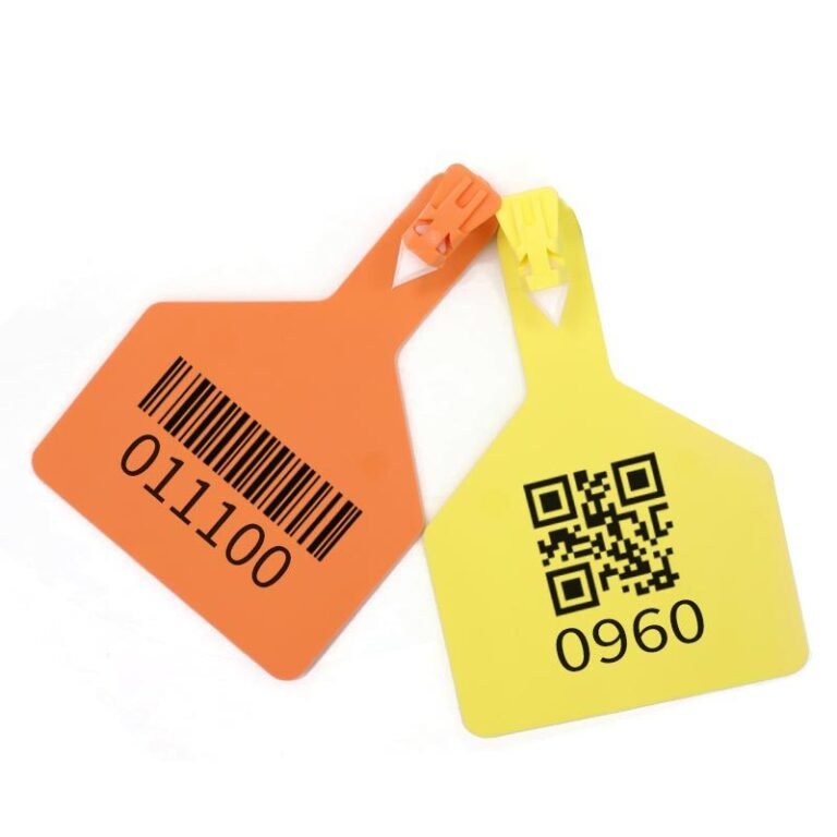 Livestock Identification Ear Tags: Types, Materials, Importance, and ...