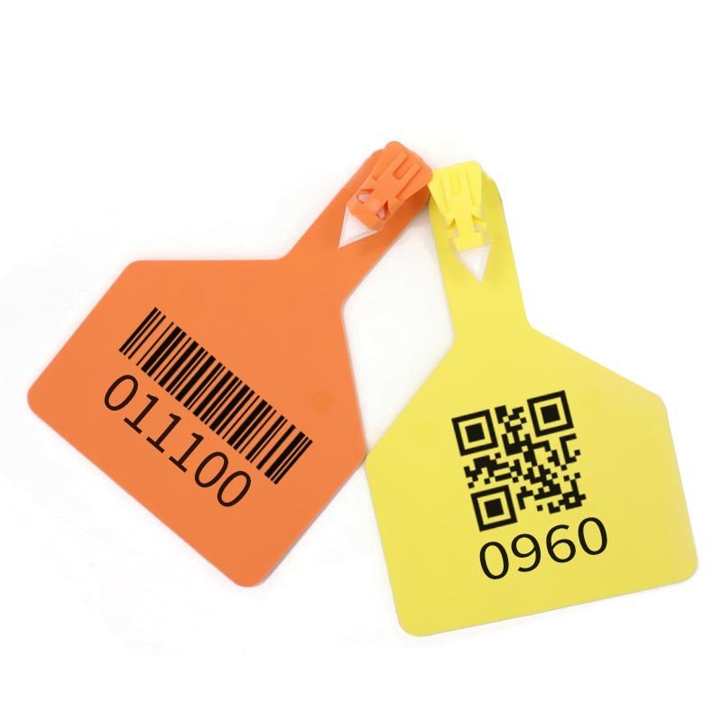 Livestock Identification Ear Tags: Types, Materials, Importance, and ...